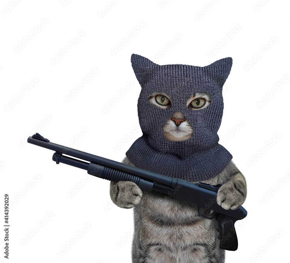 A gray cat in a balaclava is holding a pump action shotgun. White ...