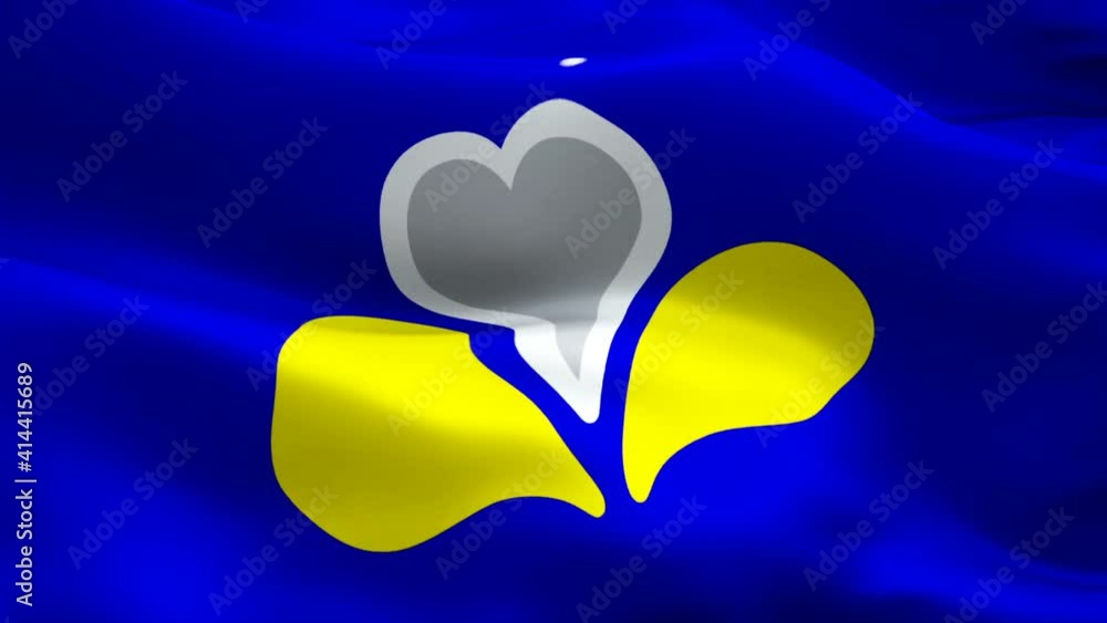 Vidéo Stock Flemings flag Motion Loop video waving in wind. Brussels ...