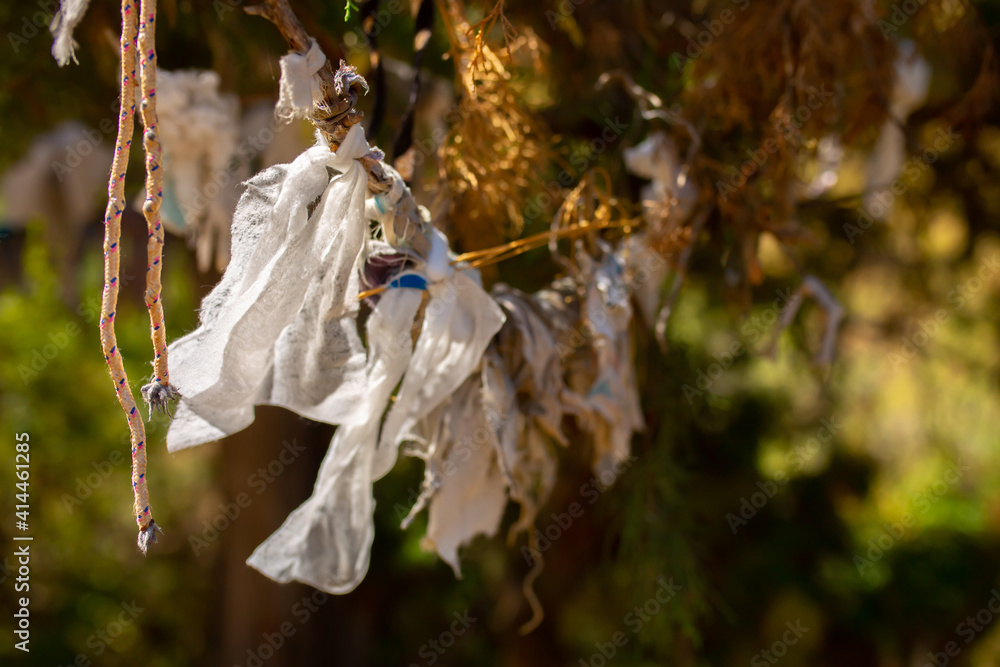 Ribbons tied on trees for luck and fulfillment of desires ritual and ...