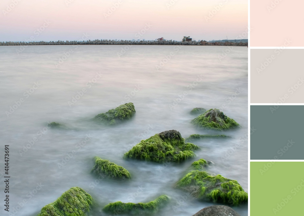 Color palette swatches of seascape green seaweeds on the rocks in grey ...