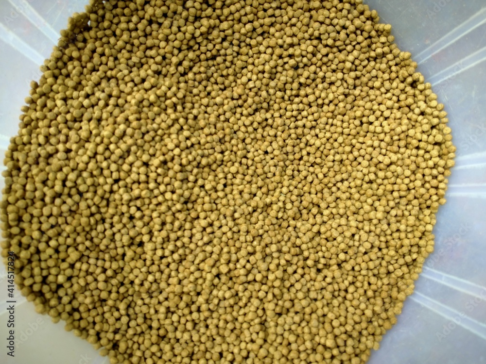 pelleted floating fish feed in hand for fish farming Stock Photo ...