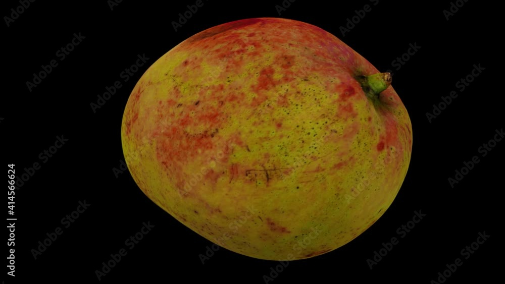 Realistic render of a rotating Apple Mango (from Philippines) on black ...