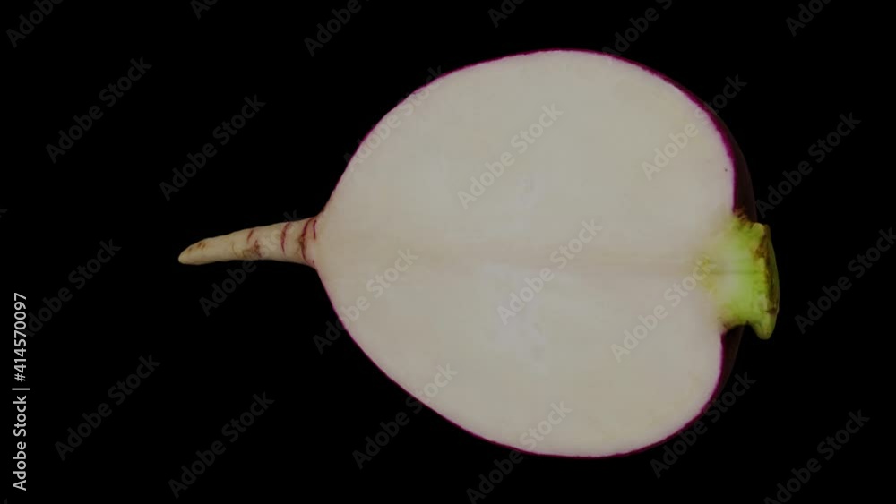 Realistic render of a spinning half Red Radish on black background. The ...