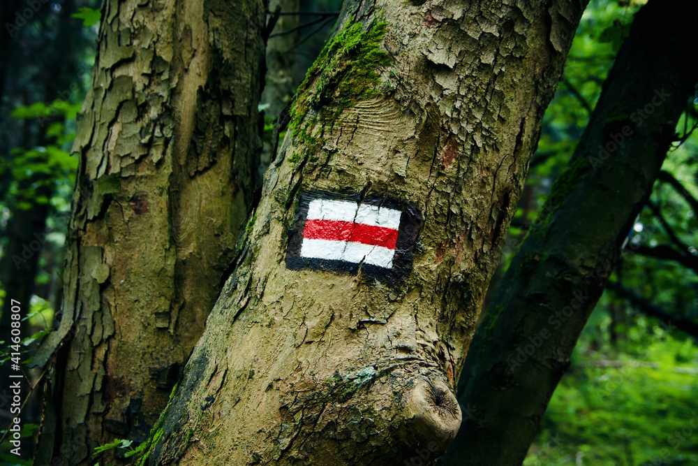 Walking trail background. Red forest path. Brown tree trunk. Guide sign ...