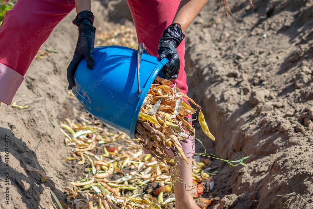 Young woman pouring organic waste into a compost pit from a plastic ...