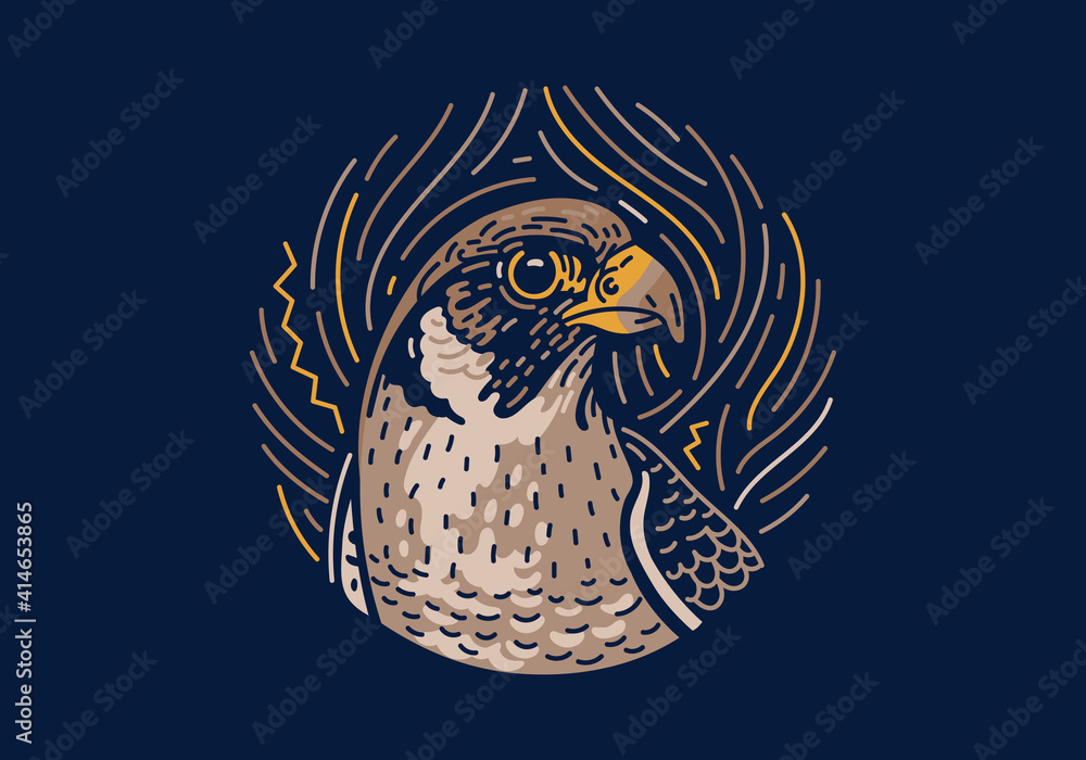 Falcon, native zodiac, dark mode background texture with illustration ...
