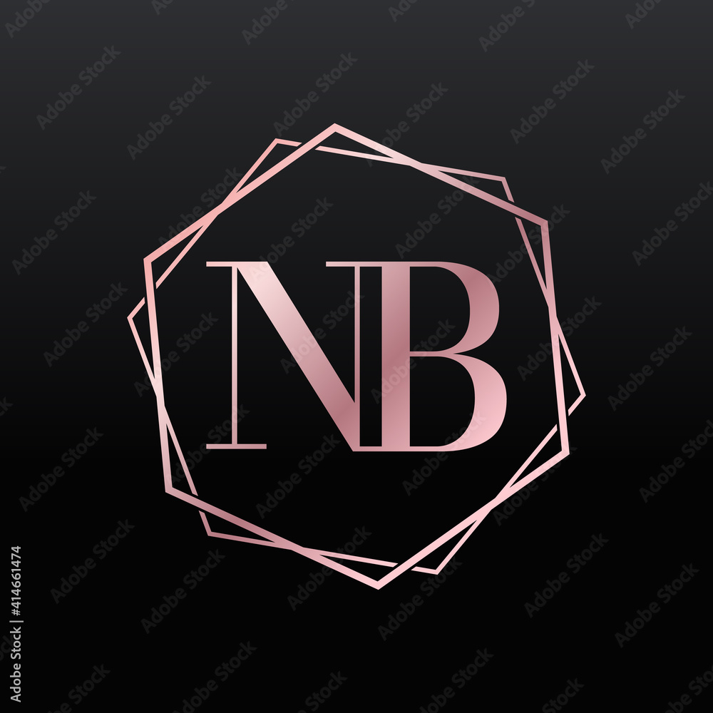 Simple Elegant Initial Letter Type NB Logo Sign Symbol Icon, Logo ...