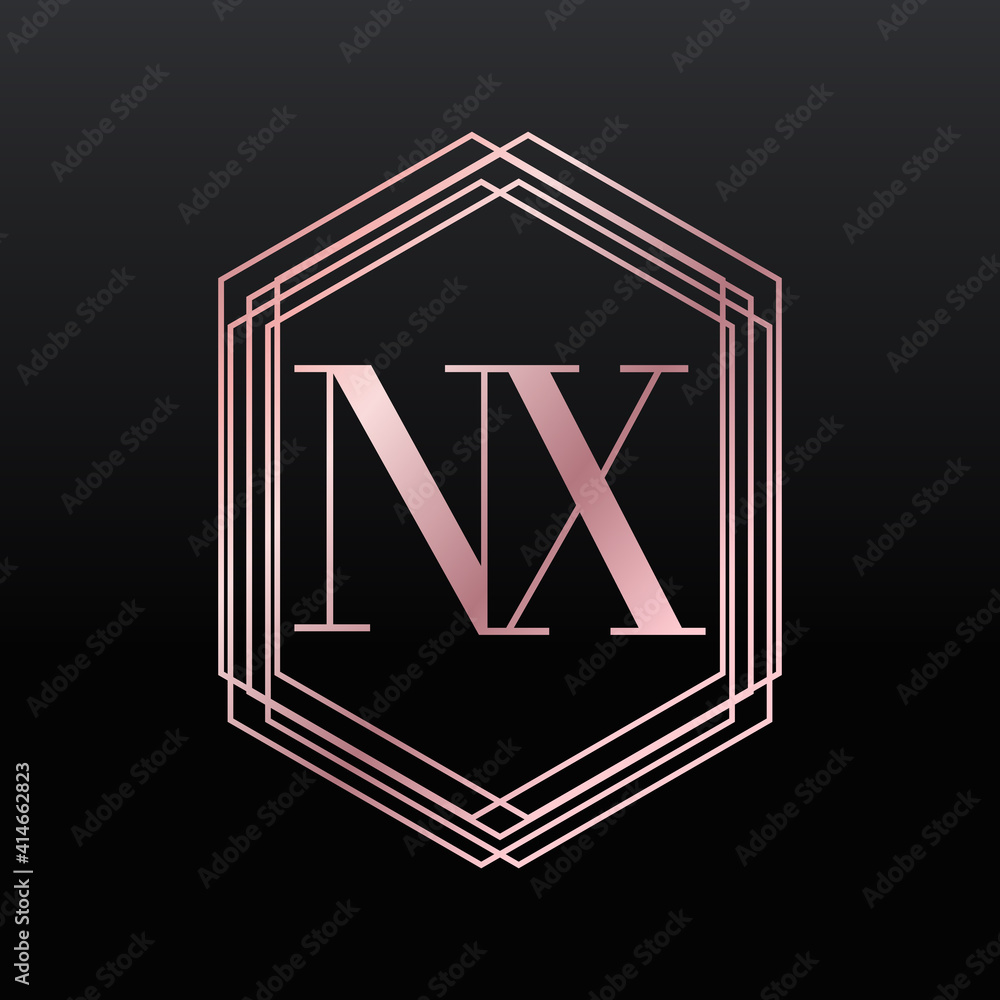 Simple Elegant Initial Letter Type NX Logo Sign Symbol Icon, Logo ...