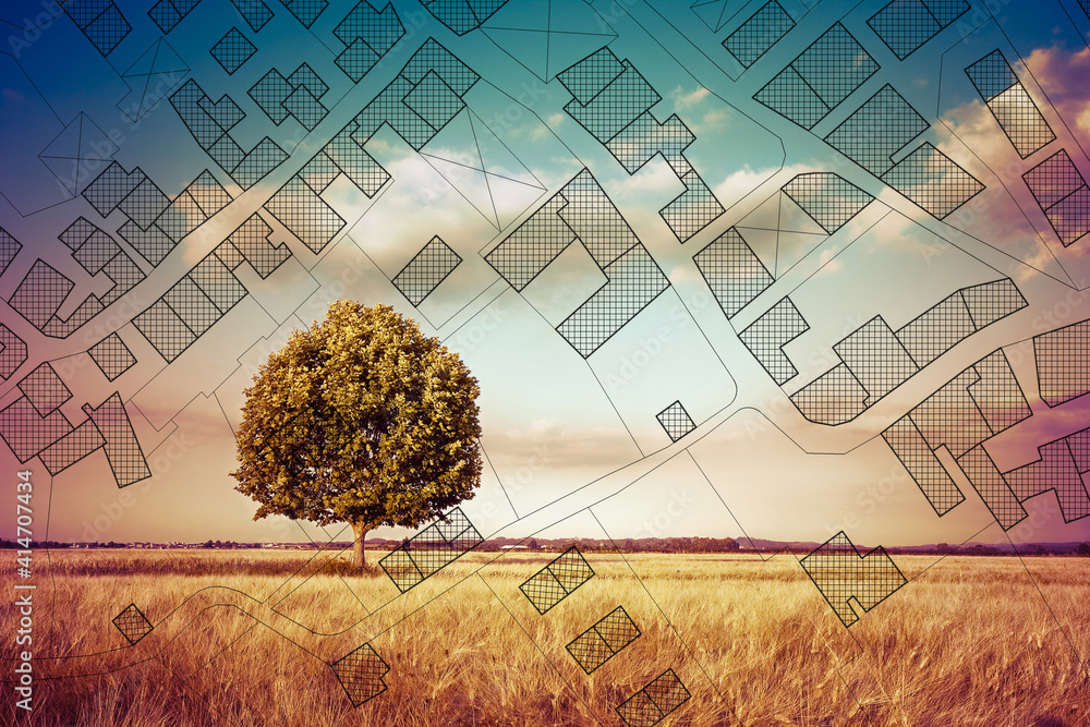 Cadastral map with a lone tree on a rural scene - concept image Stock ...