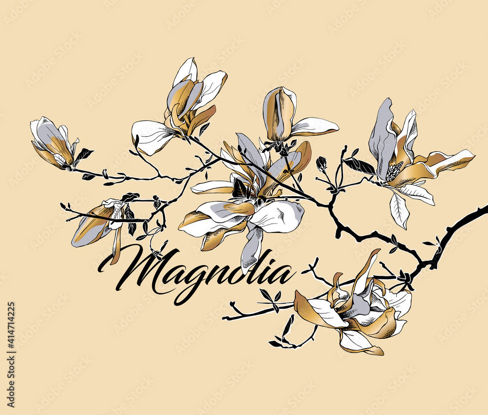 Floral composition. Branch gold Magnolia flowers on a light beige ...
