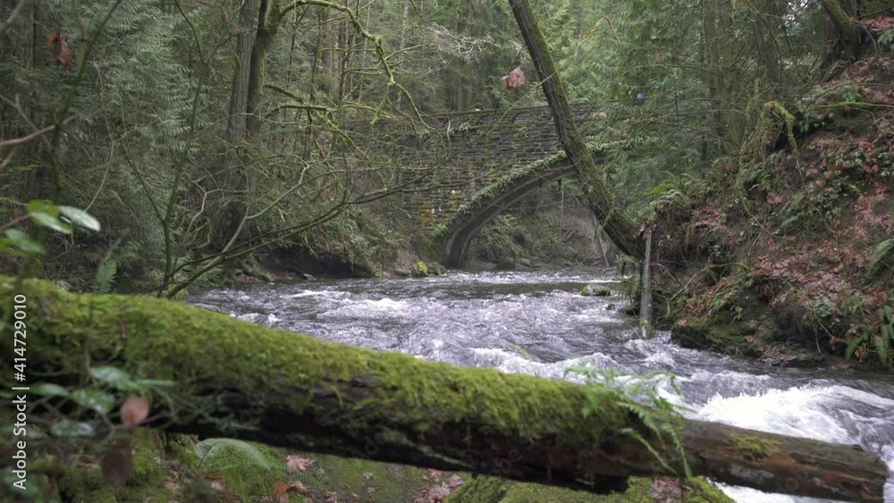 Whatcom Falls Bridge Washington State 4K UHD. Whatcom Creek and the ...