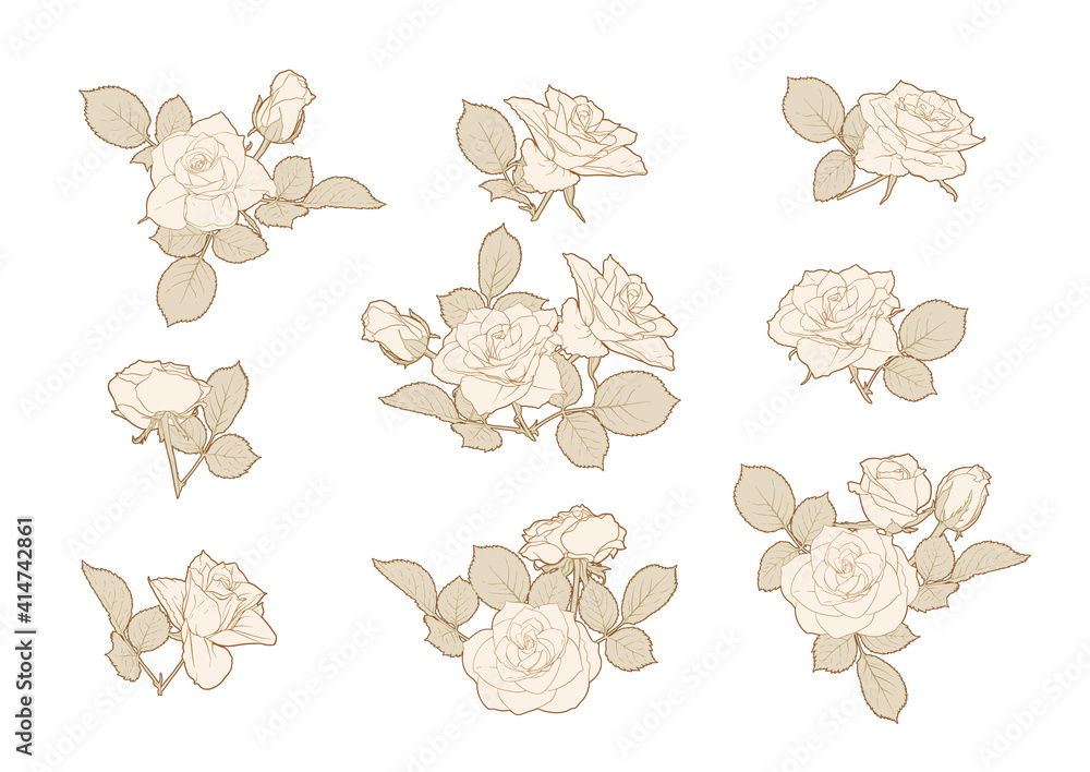 Roses flowers Clip art, set of elements for design Outline hand drawing ...