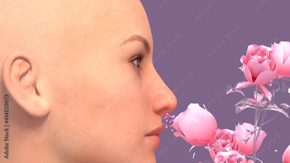 Poster Olfactory System Sensory System Used For Smelling Olfaction Senses Tableau Europosters