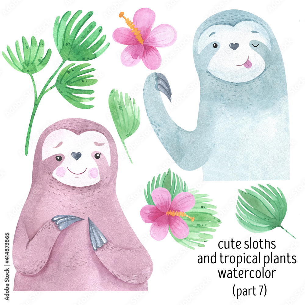 Watercolor cute sloths portrait and tropical leaves set. Sleepy animal ...