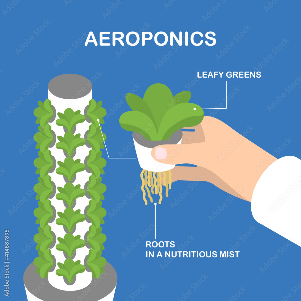 Vetor de Plant in hand for growing in an aeroponic setup.Vertical ...