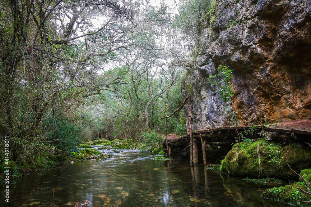 River in the forest of Beselga, Portugal. Forest with moss covered ...