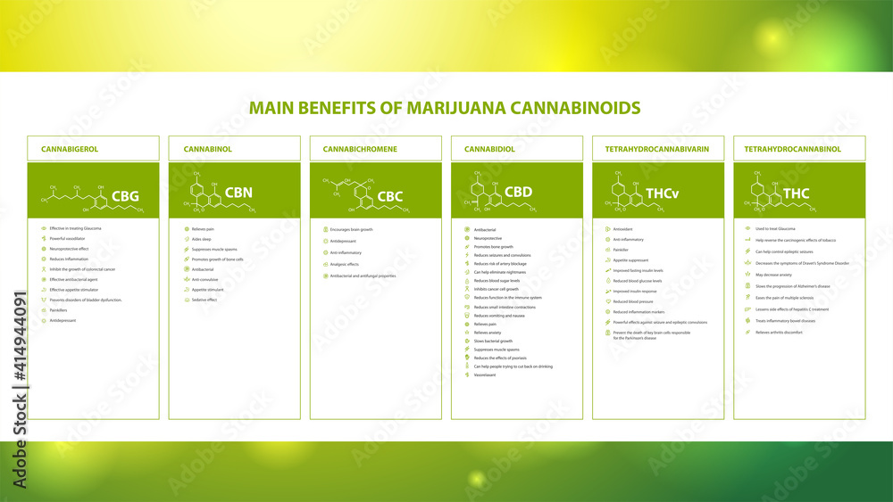 Main benefits of marijuana cannabinoids, information poster with ...