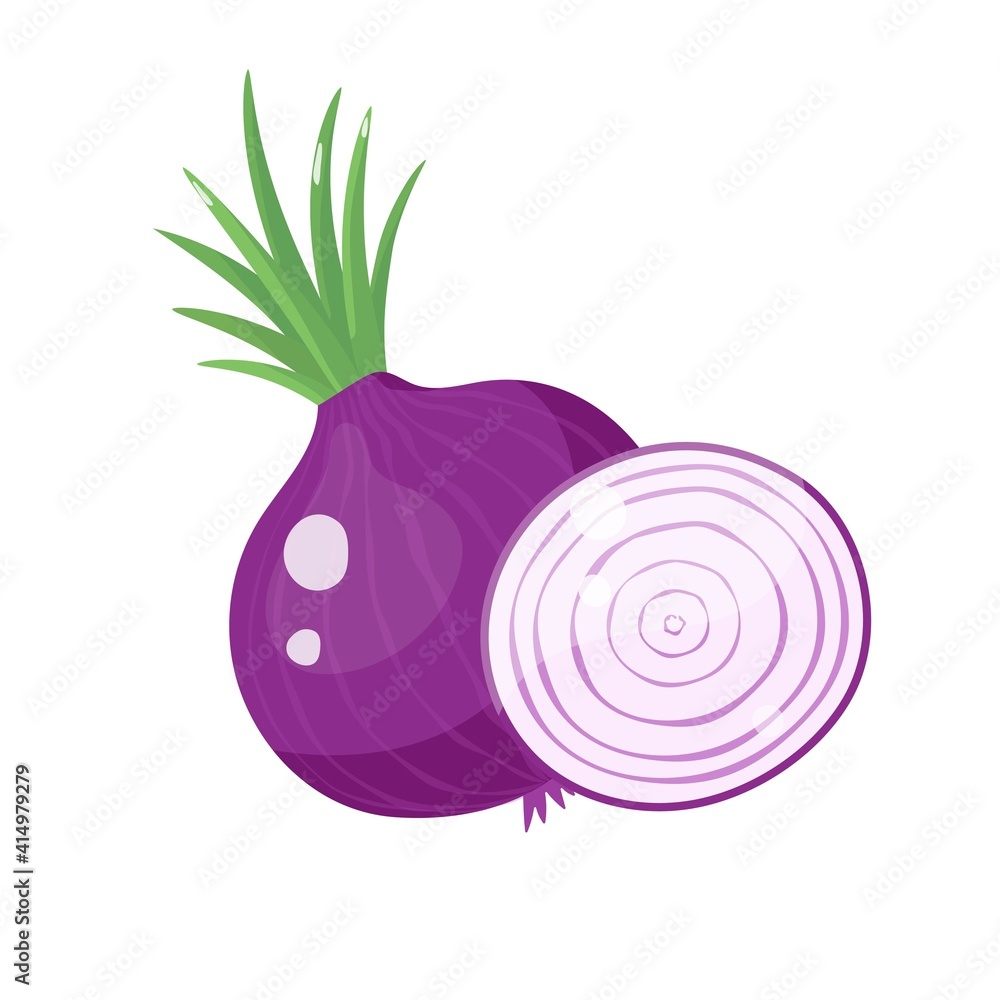 Cartoon onion whole and sliced. Vector illustration isolated on white ...
