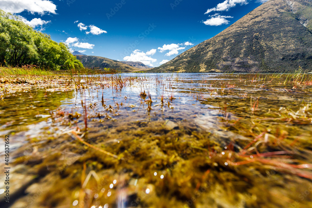 Aspect of beautiful Lake Pearson (Moana Rua) in the Arthur's Pass ...