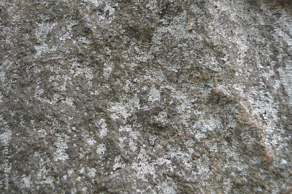 Natural stone texture. Natural background. Moss and lichens on rocks ...
