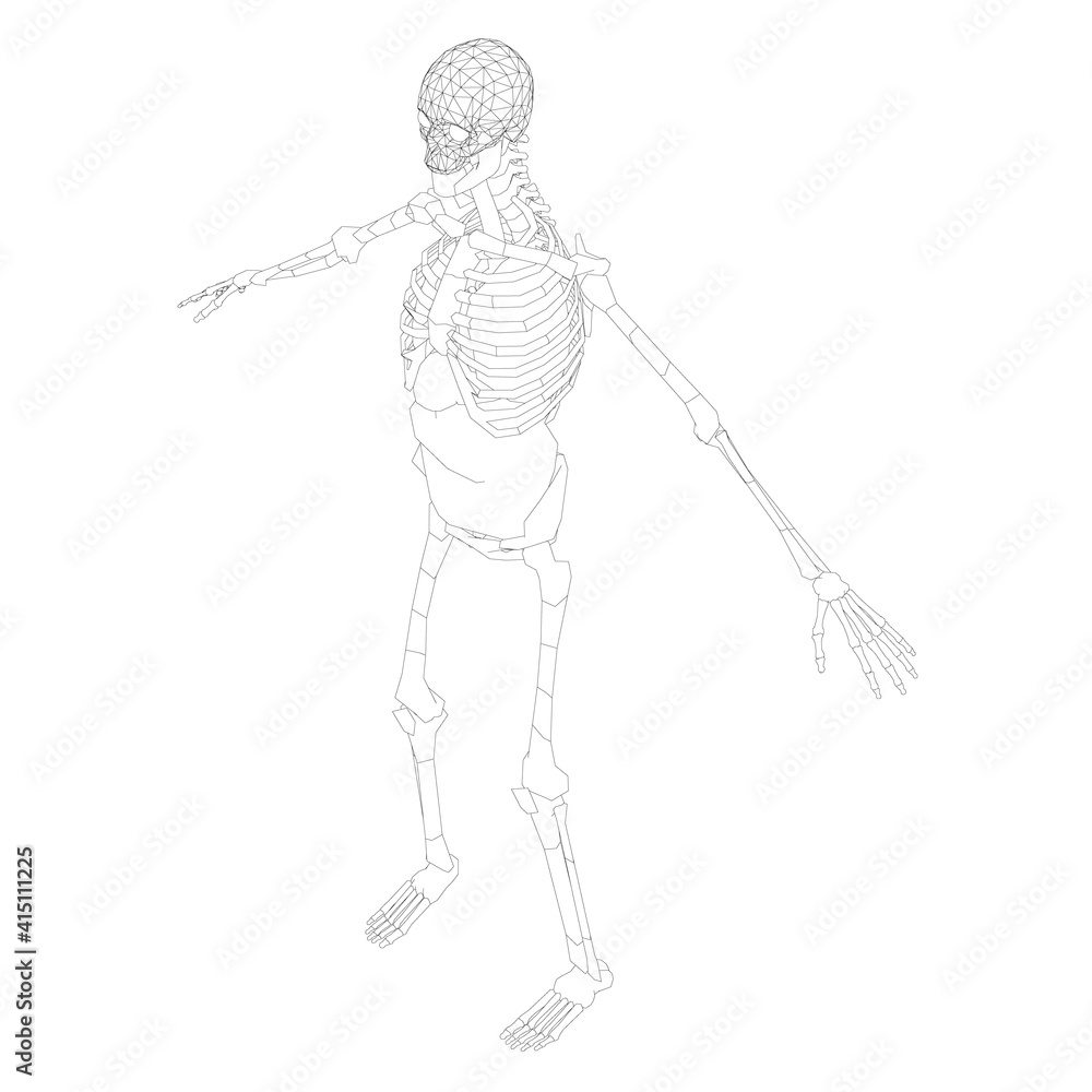The contour of the human skeleton with raised hands. isometric view ...
