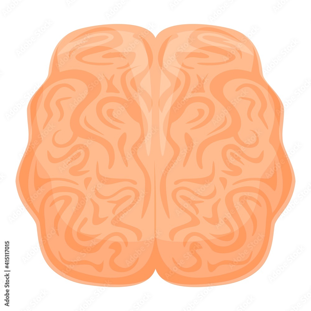 Human brain anatomy icon. Cartoon of human brain anatomy vector icon ...