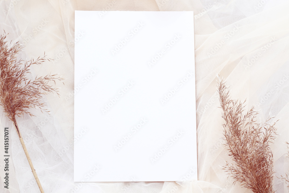 pastel tones blank a4 paper template, picture mockup Stock Photo ...
