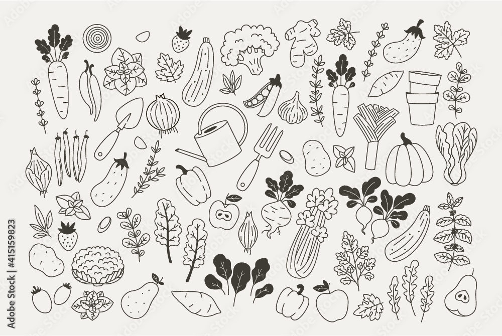 Collection of herbs and vegetables. Contour doodle minimalist style ...