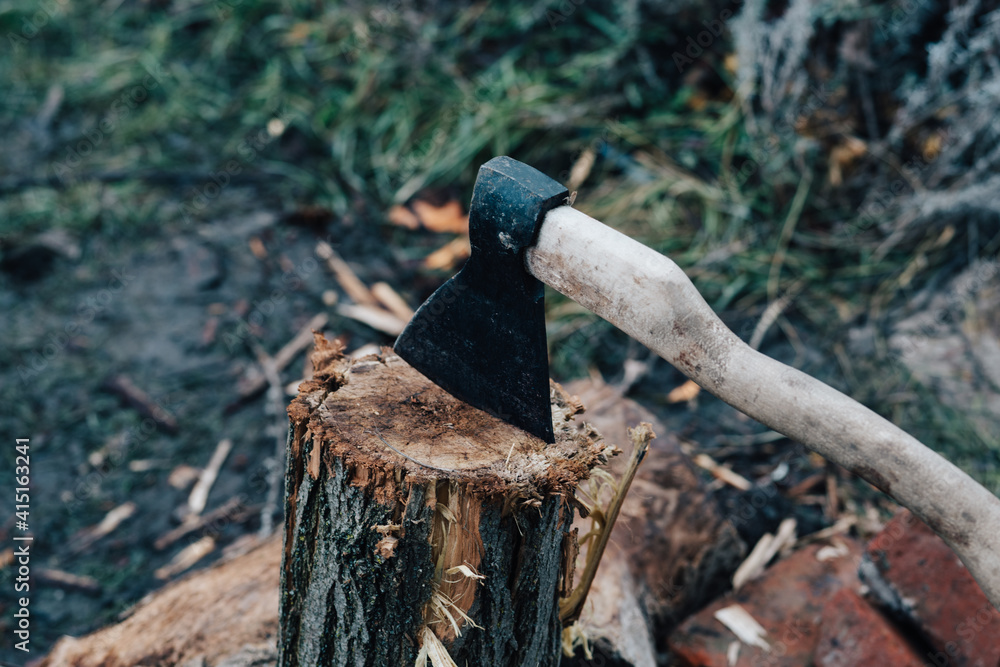 ax sticks out in the tree stump chopping firewood harvesting for the ...