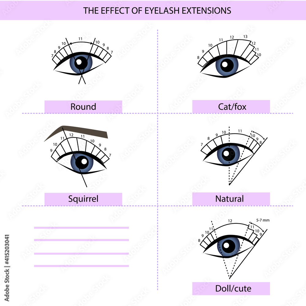 Eyelash Extension Guide. Direction schemes. Tips and tricks for eyelash ...