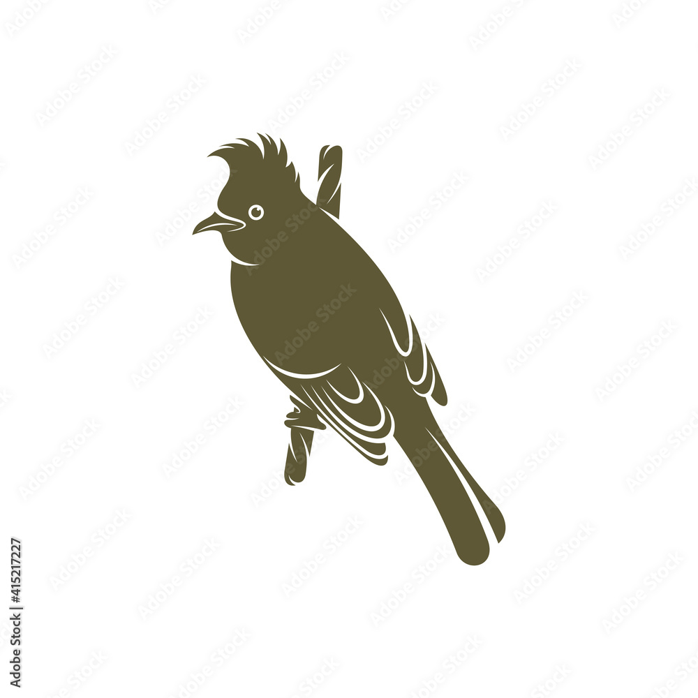 Himalayan Bulbul bird design vector illustration, Creative Himalayan ...
