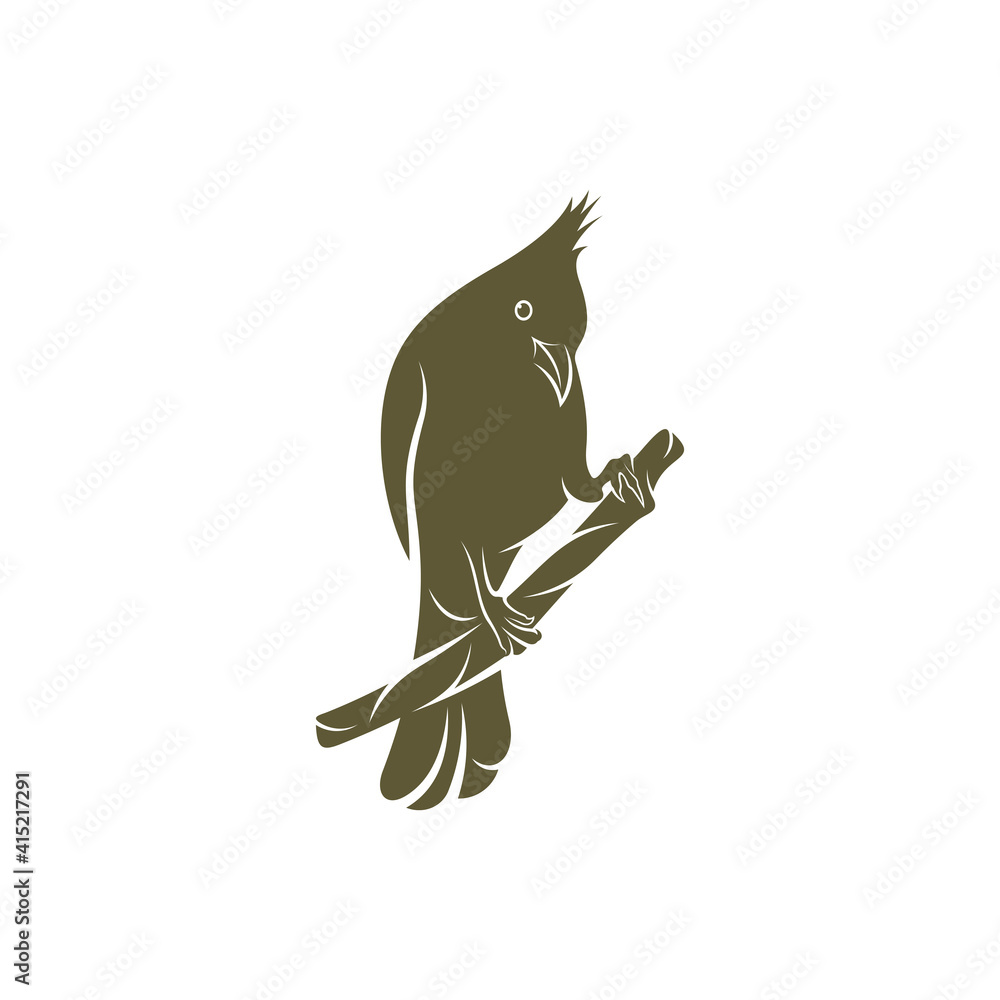 Himalayan Bulbul bird design vector illustration, Creative Himalayan ...