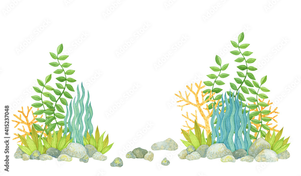 Ocean Plants For Kids