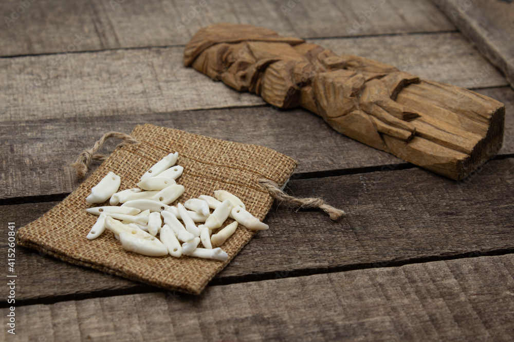 Isolated photos of wolf teeth incisors on a white background Stock ...