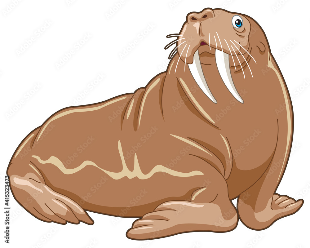 Walrus cartoon illustration with brown fat body Stock Vector | Adobe Stock