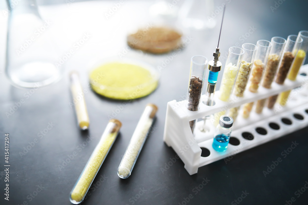 Research Analyzing Agricultural Grains And seeds In The Laboratory ...