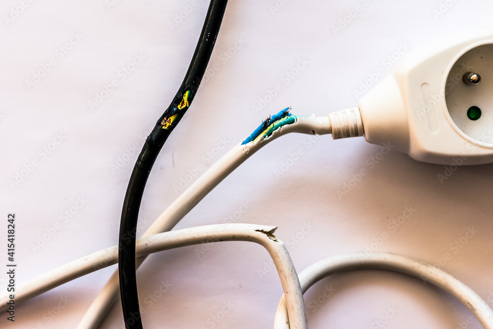 electrical cable chew and broken Stock Photo | Adobe Stock