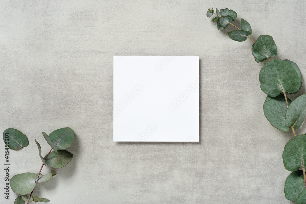 Real photo. square invitation card mockup with a eucalyptus branch. Top ...