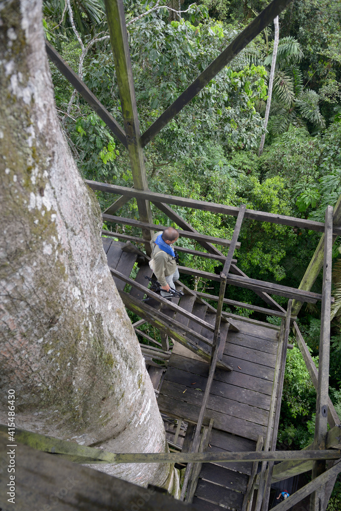 Walking down from the jungle observation tower, La Selva Amazon ...