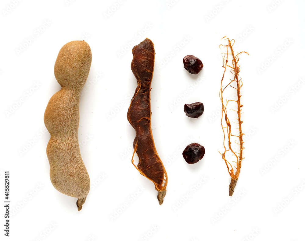 tamarind tree produces brown, pod-like fruits that contain a sweet ...