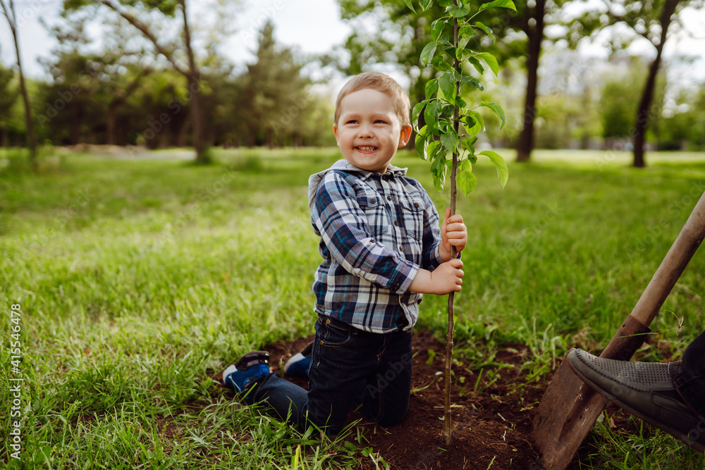 Cute child plants young tree with grandfather in the garden. Planting a ...