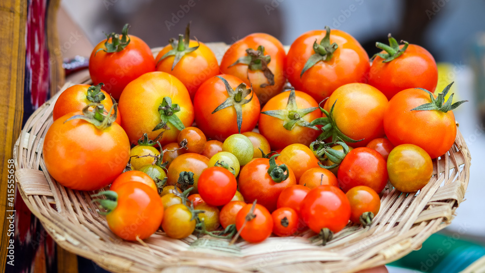 Indian cherry tomato is also known as Patal in Chhattisgarh Stock Photo ...