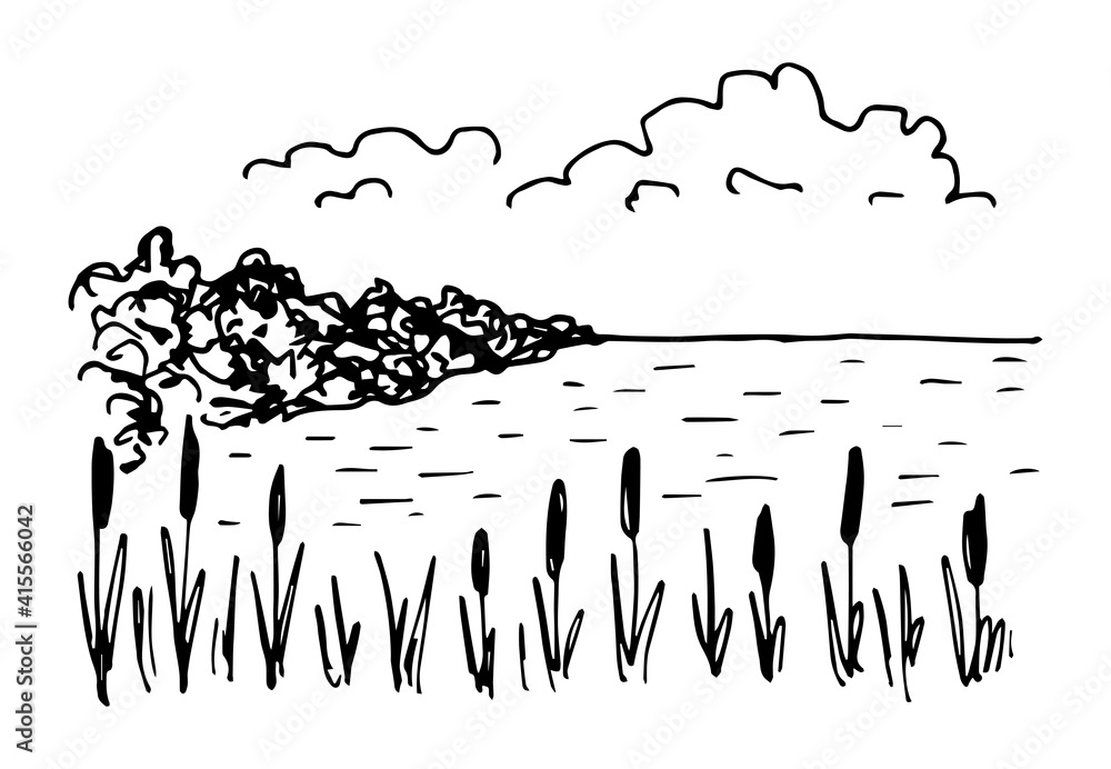 Simple hand-drawn vector drawing in black outline. Lake shore, reeds ...