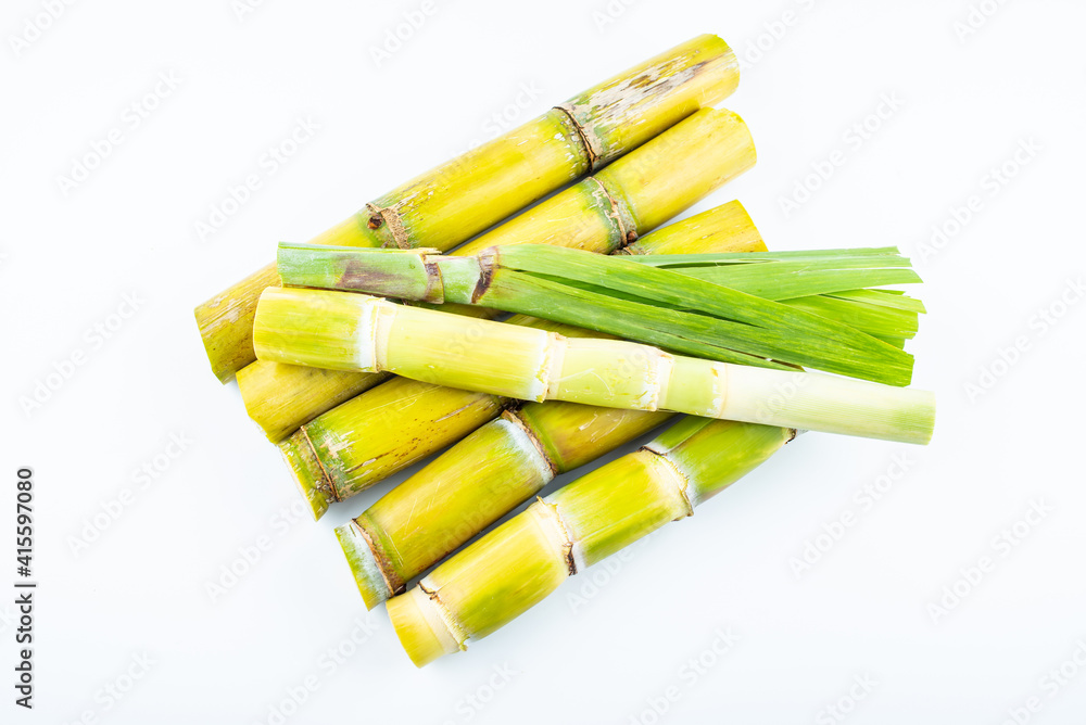 Fresh yellow sugar cane on white background Stock Photo | Adobe Stock