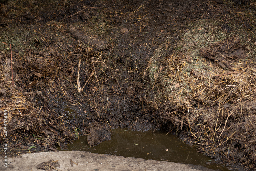 smelly manure to be spread on the field for more fertility, close up ...