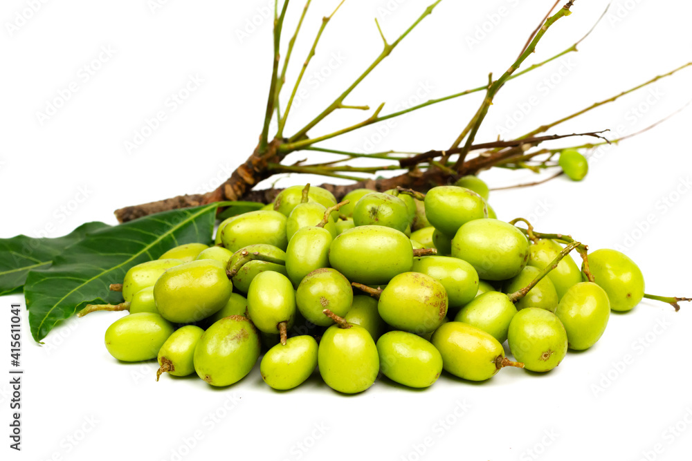 Medicinal neem fruits with neem leaf and branch isolated on white ...