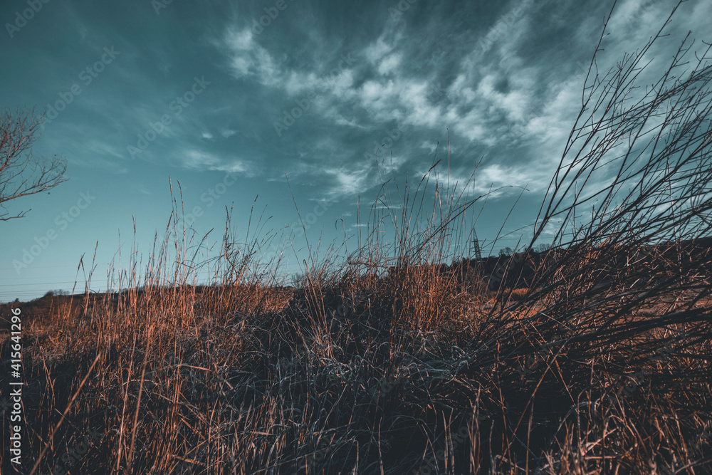 Dramatic wide shot of a blasted land, after nuclear radiations ...