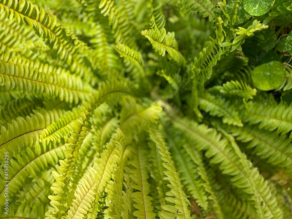 Temperate broadleaf and mixed forest is a temperate climate terrestrial ...