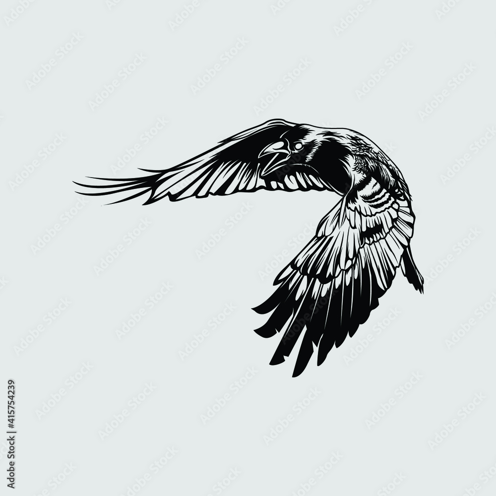 Flying black crow vector illustration Stock Vector | Adobe Stock