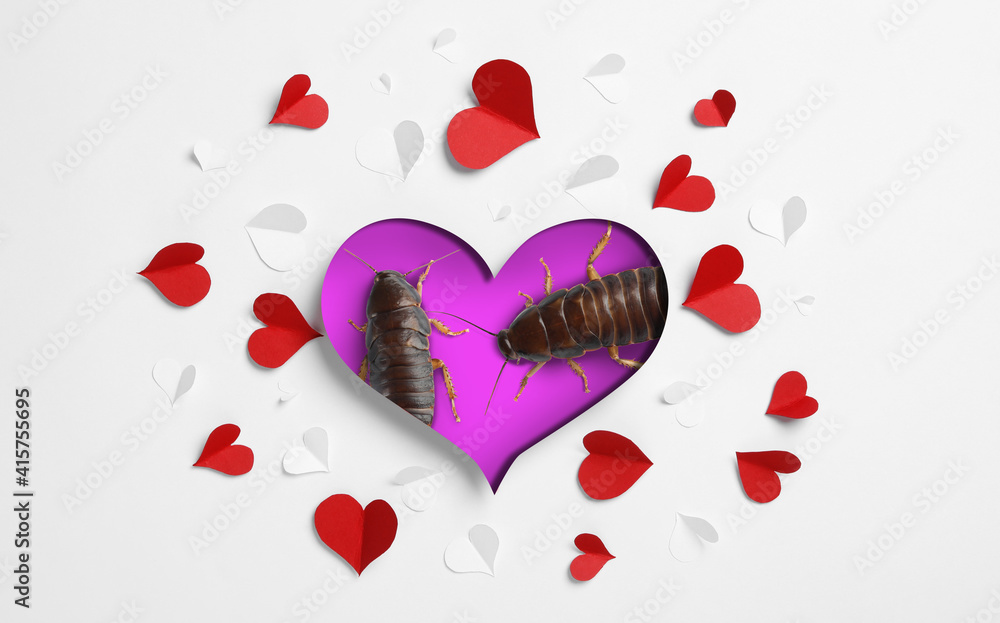 Valentine's Day Promotion Name Roach - QUIT BUGGING ME. Cockroaches on purple background, view ...